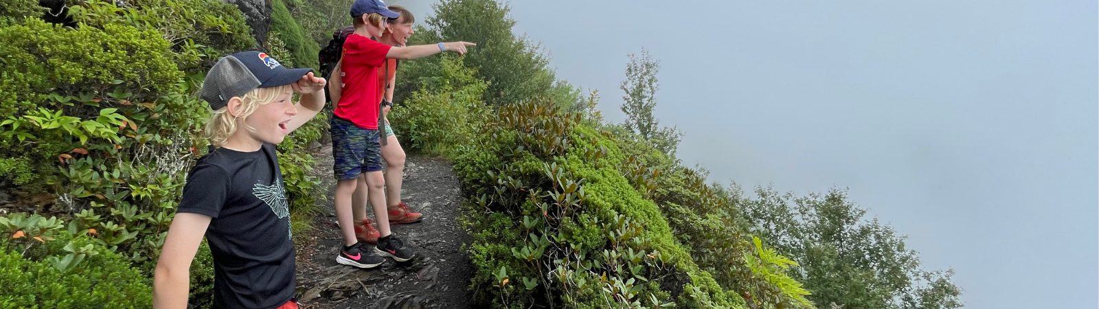 The Surprising Science of Awe and Why We Need It Right Now - Spark ...